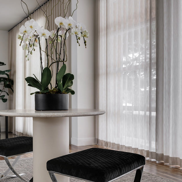 Sheer Ripplefold Drapery – The Heather Company